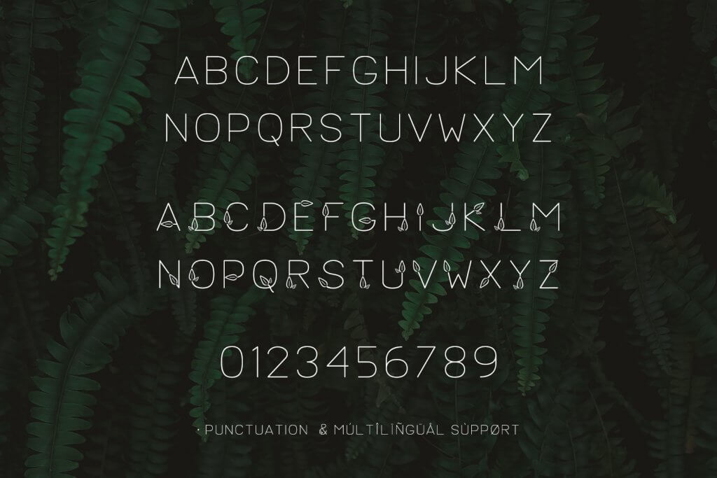 Lush Typeface | Beck McCormick, Font Designer