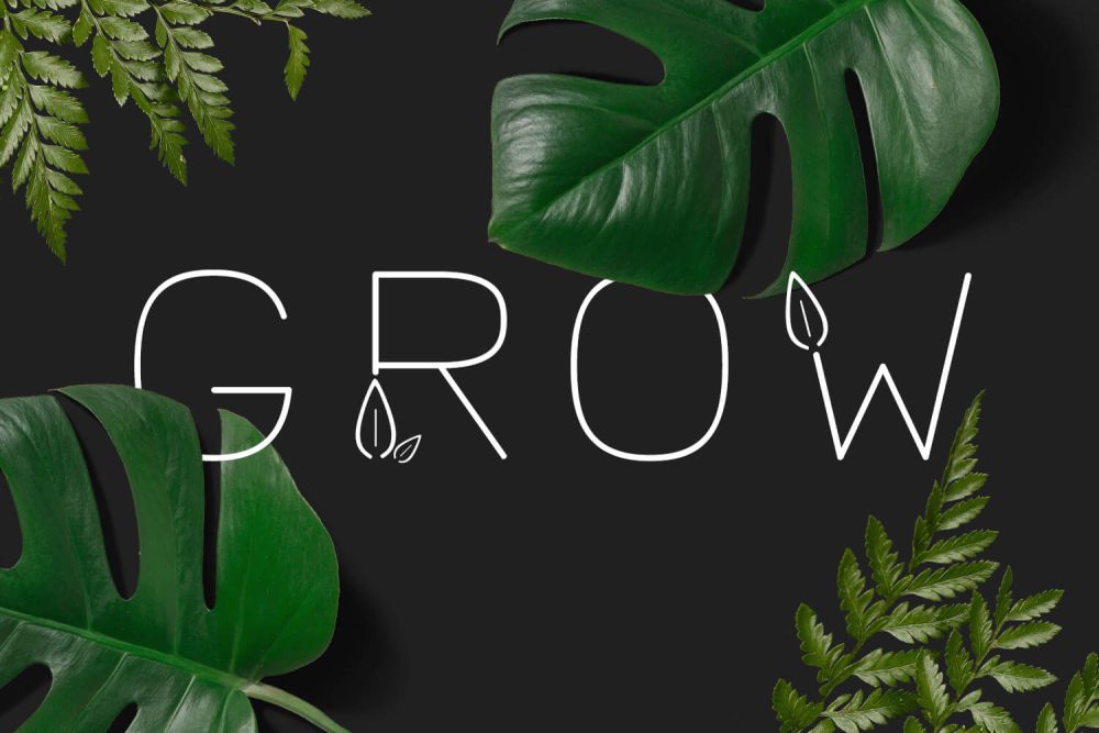 Lush Typeface | Beck McCormick, Font Designer