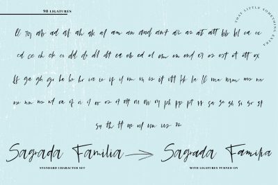 Barcelona Nights Signature Script | Beck McCormick, Font Designer