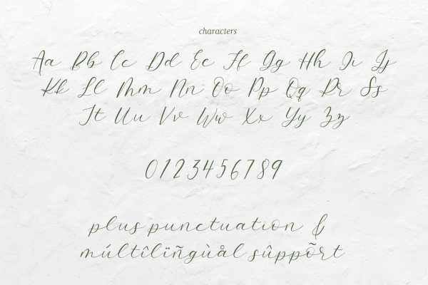 Salt and Sea Calligraphy Font | Beck McCormick, Font Designer