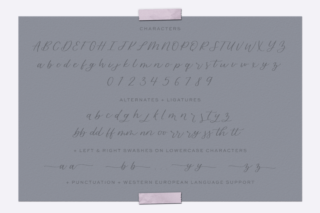 Blossomberry Script Font with Swashes | Beck McCormick, Font Designer