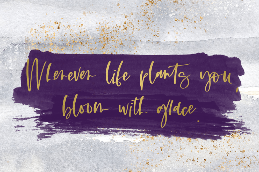 Duchess Script Font with alternates | Beck McCormick, Font Designer