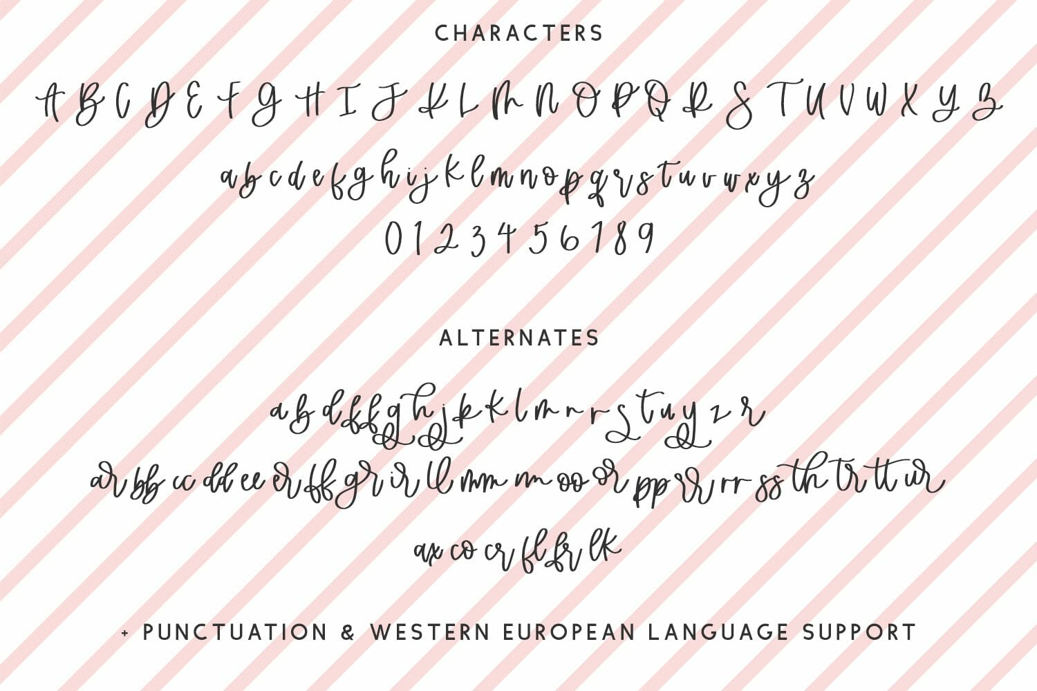 Merry Everything Script Font | Beck McCormick, Font Designer