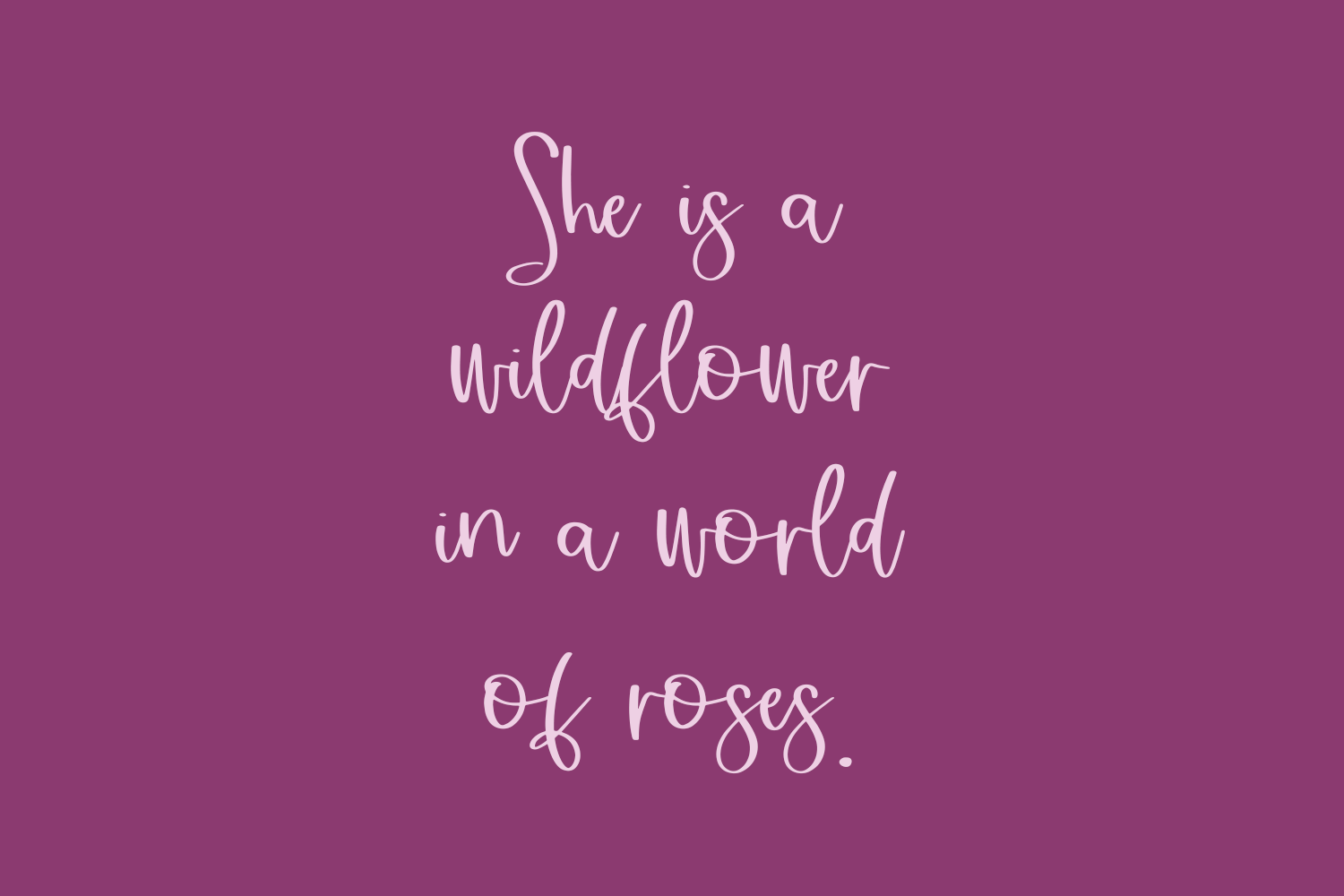 Sugar Plum Fairy Script | Beck McCormick, Font Designer