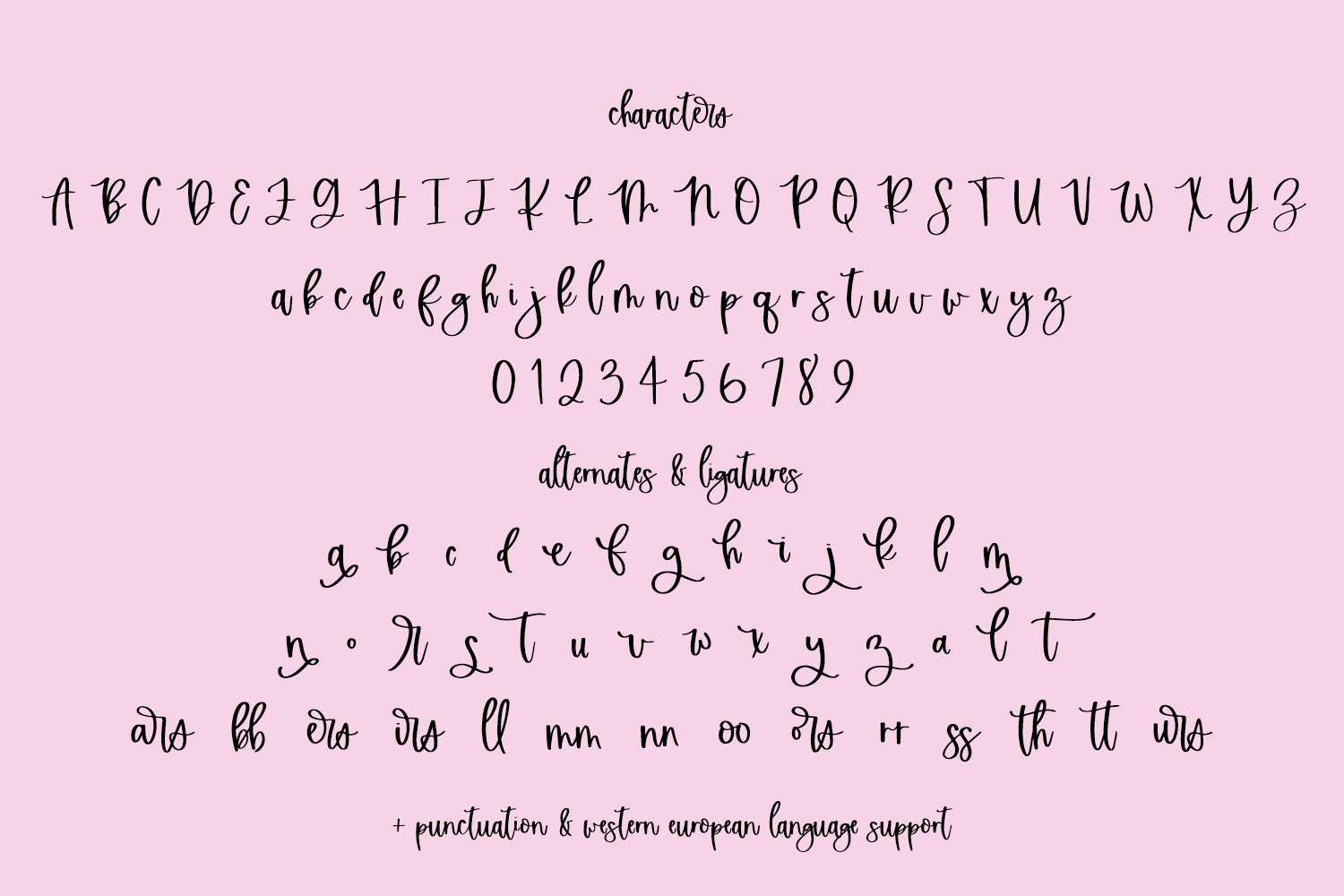 Sugarstar Modern Calligraphy Script | Beck McCormick, Font Designer